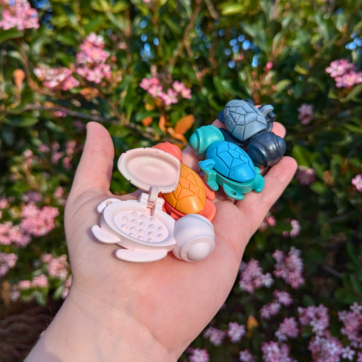 Calm Buddi Turtle – For Your Mind Boxes