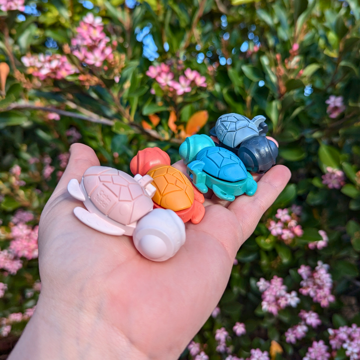 Calm Buddi Turtle – For Your Mind Boxes