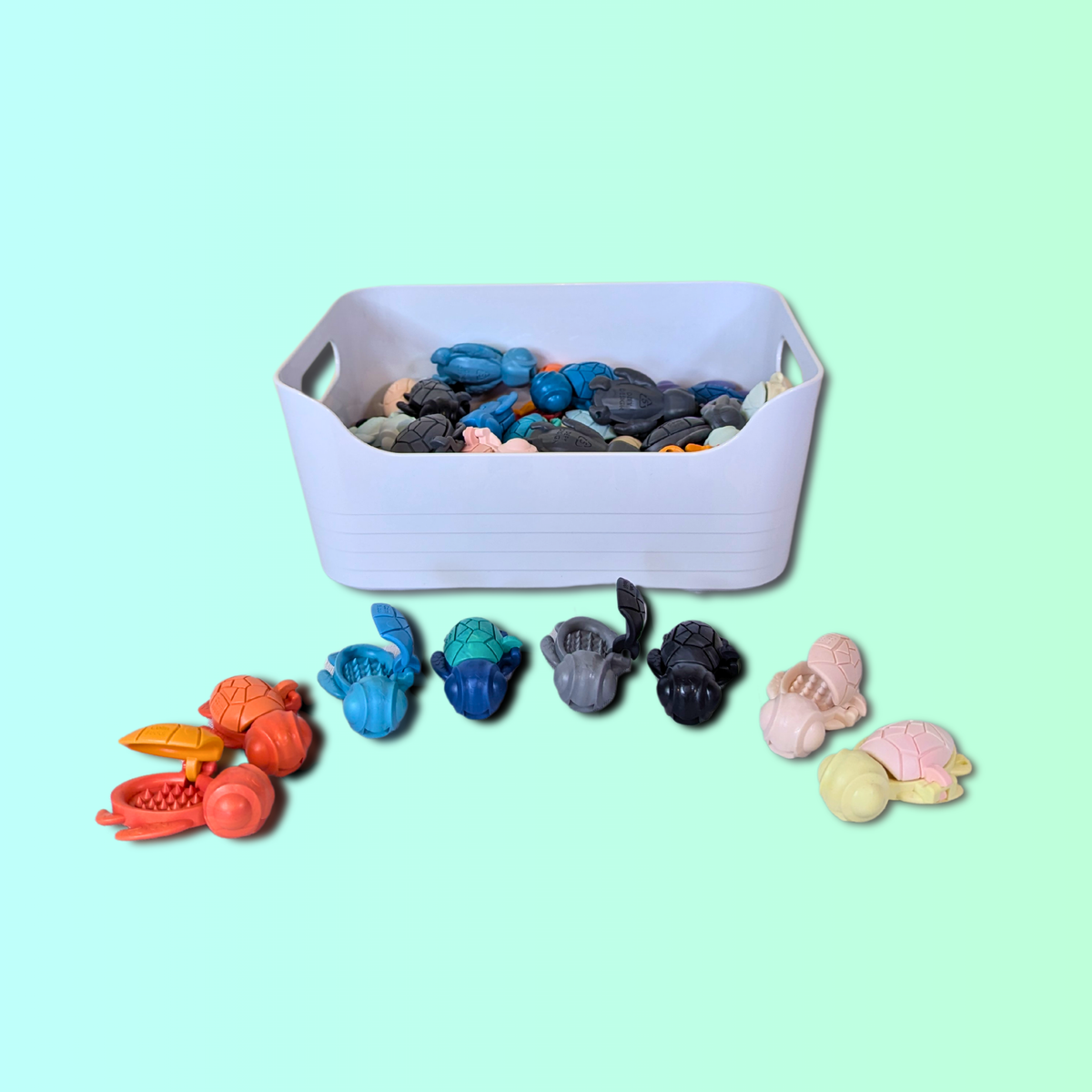 Calm Buddi Turtle – For Your Mind Boxes